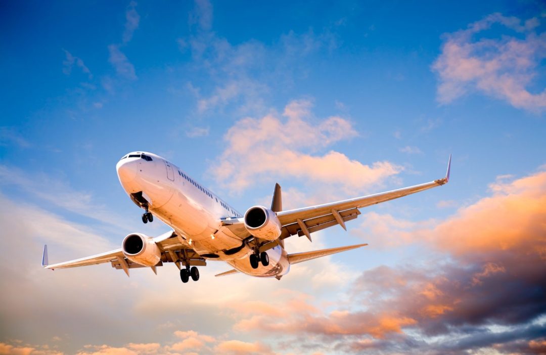 Can You Bring a Baseball Bat on a Plane? (2025 TSA Guide)