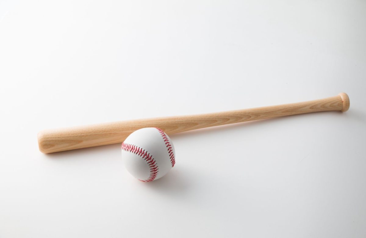 Can You Bring a Baseball Bat on a Plane? (2025 TSA Guide)